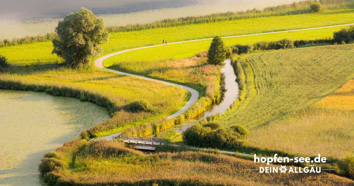 Wandern am Hopfensee: Die schönsten Touren mit Alpenblick